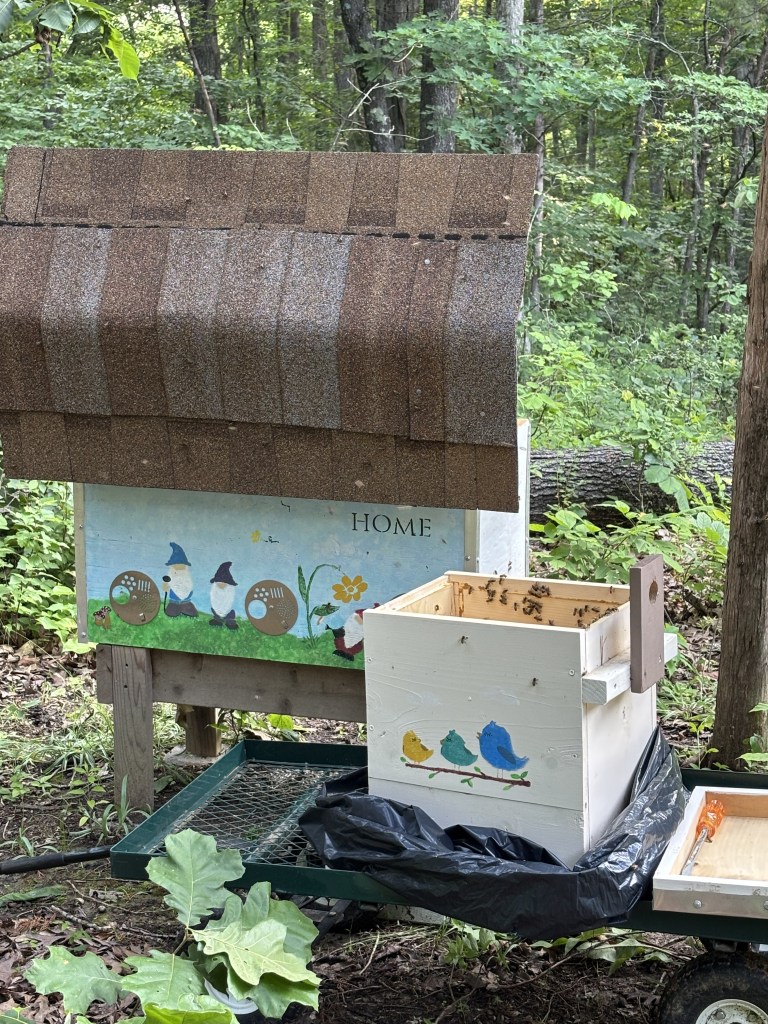 Spring Gardening Update: Bees, Lavender, and Greenhouse Changes - Ed's ...
